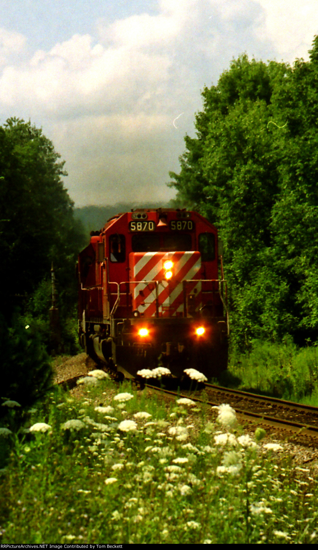 Tiptoe thru the tulips